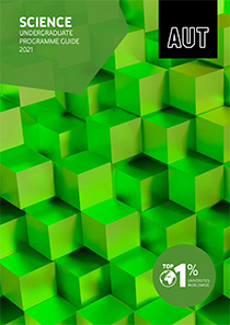 Programme Guides - AUT