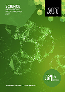 Programme Guides - AUT