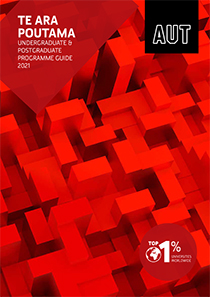 Programme Guides - AUT