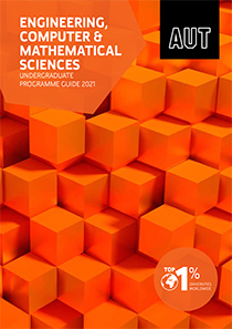 Programme Guides - AUT