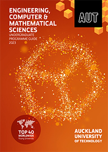 Programme Guides - AUT