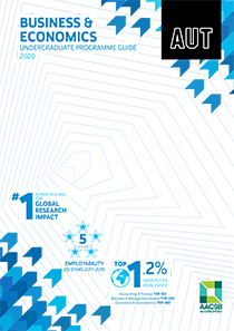 Programme Guides - AUT